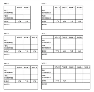 Morning walk plan for a healthy start to your day - My Fitness Planner