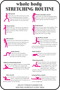 Full body stretching routine with PDF download