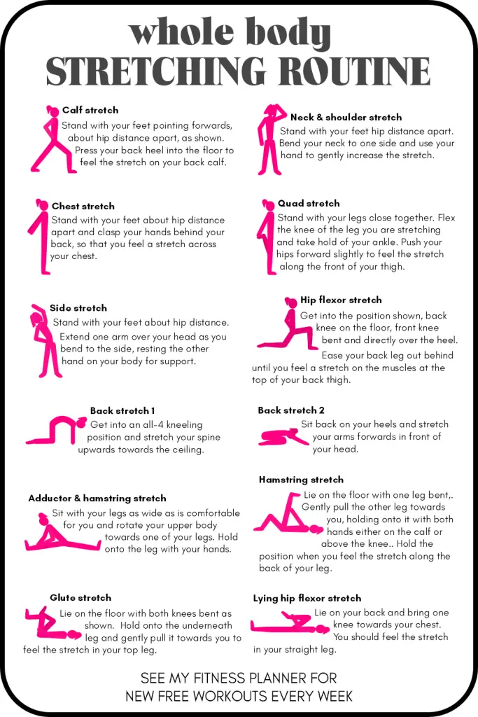 Full body stretching routine with PDF download
