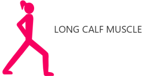 Tight hamstrings and calves - 6 stretches to improve your flexibility