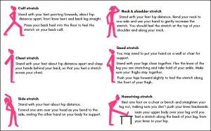 Daily stretching routine - My Fitness Planner